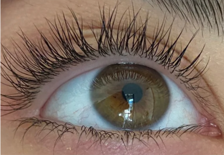 Lash Root Activator - Liaison Growth